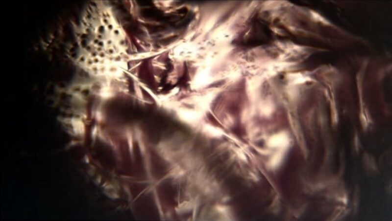 Exploded View: Ken Jacobs’ Nervous Magic Lantern - Cinema Scope