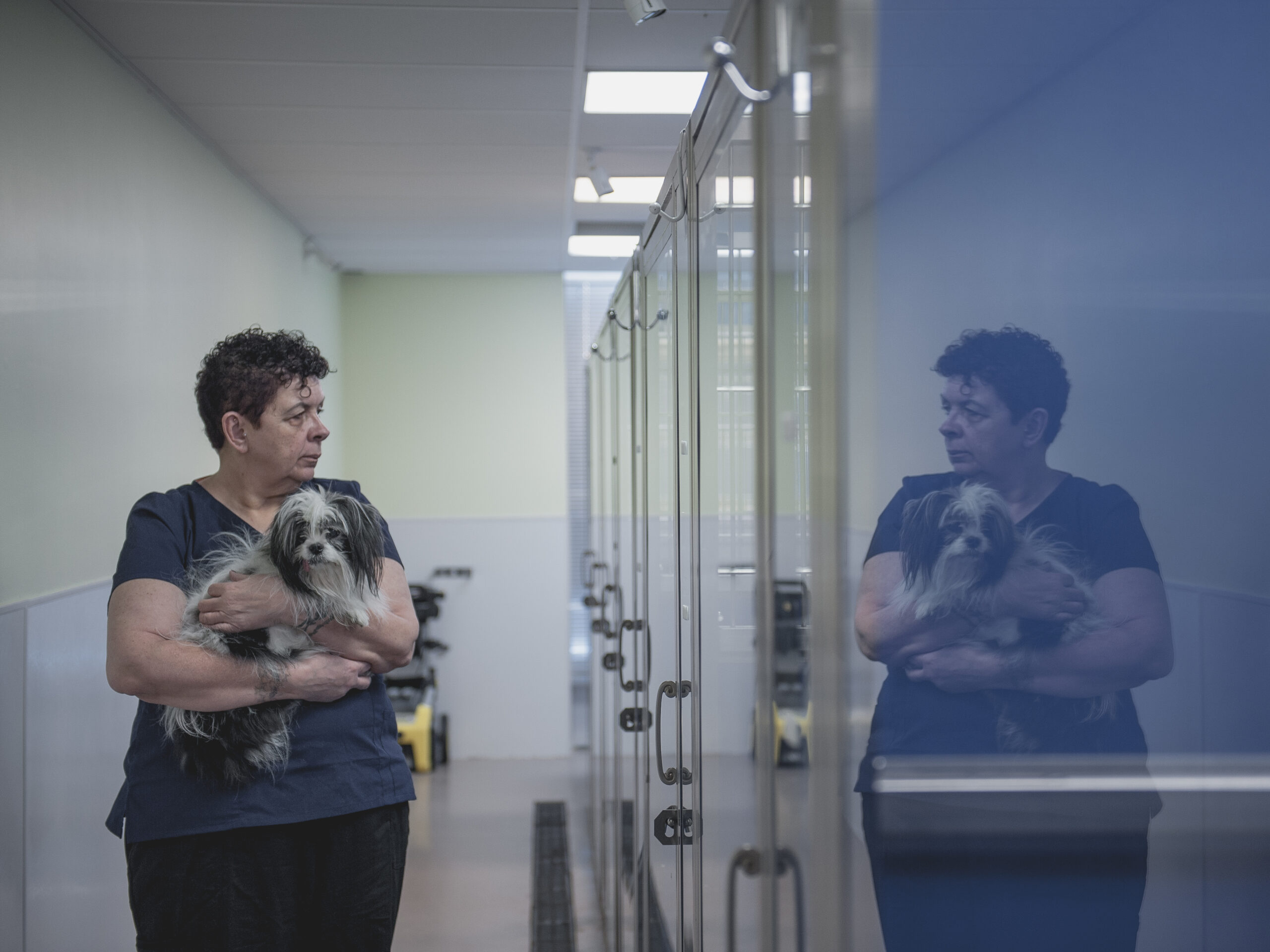 Murmur (Heather Young, Canada) — Discovery - Cinema Scope